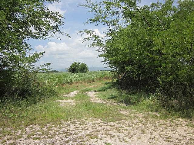Commercial/farm land For Sale in Braes River, St. Elizabeth Jamaica ...