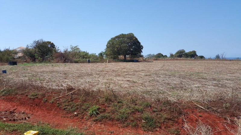 Commercial/farm land For Sale in Pedro Plains, St. Elizabeth Jamaica ...