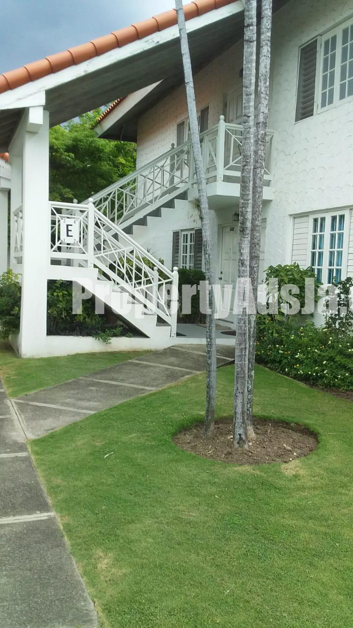 Apartment For Rent in Kingston 6 off Hope Road, Kingston / St. Andrew Jamaica | PropertyAdsJa.com