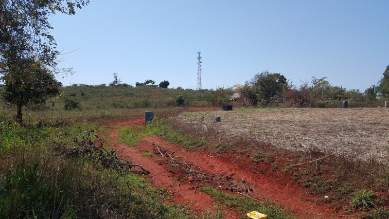Commercial/farm land For Sale in Pedro Plains, St. Elizabeth Jamaica ...