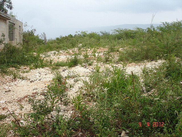Commercial/farm land For Sale in Pedro Plains close to Treasure Beach ...