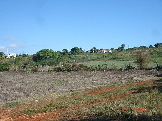 Residential lot For Sale in Pedro Plains, St. Elizabeth Jamaica ...