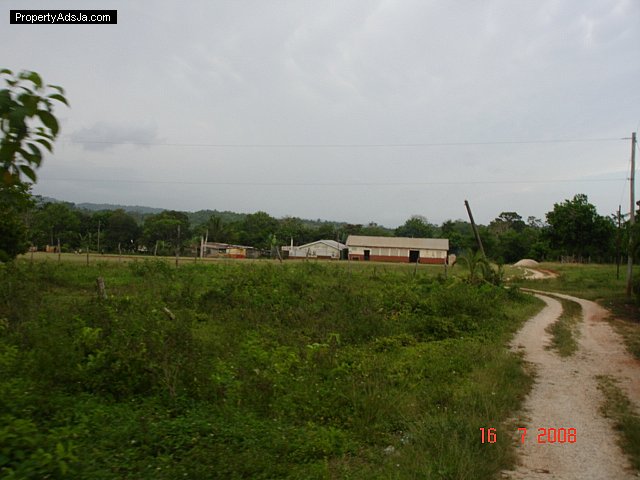 Residential lot For Sale in over 4 acres Mango Valley, St. Mary Jamaica ...
