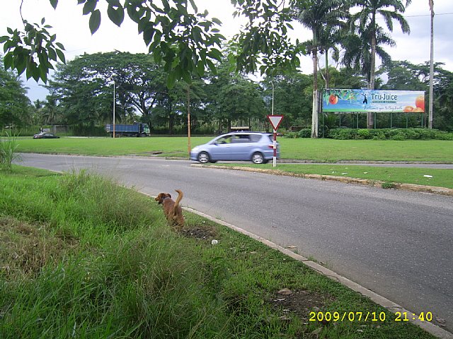 Commercial building For Sale in Bog Walk, St. Catherine Jamaica ...