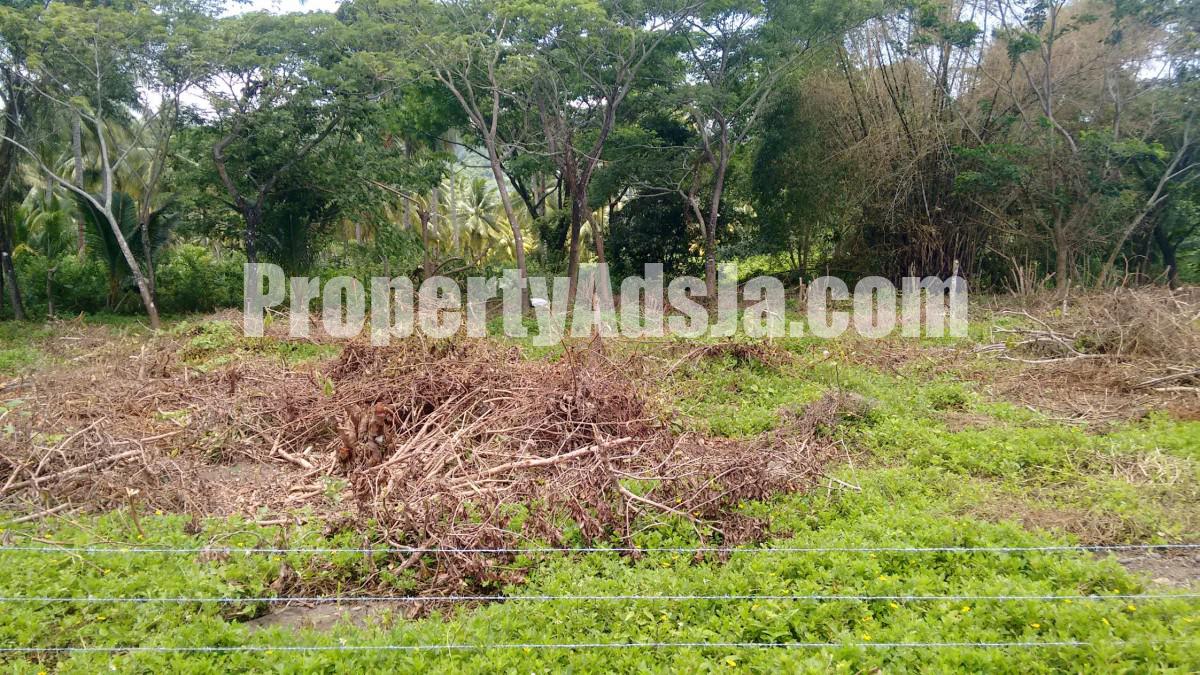 Residential lot For Sale in Hope Bay, Portland Jamaica | PropertyAdsJa.com