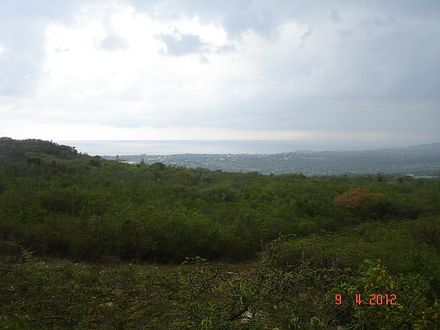 Commercial/farm land For Sale in Pedro Plains close to Treasure Beach ...