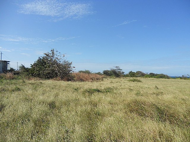 Residential lot For Sale in Hopewell, Hanover Jamaica | PropertyAdsJa.com