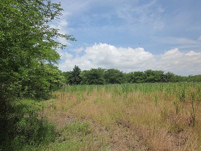 Commercial/farm land For Sale in Braes River, St. Elizabeth Jamaica ...