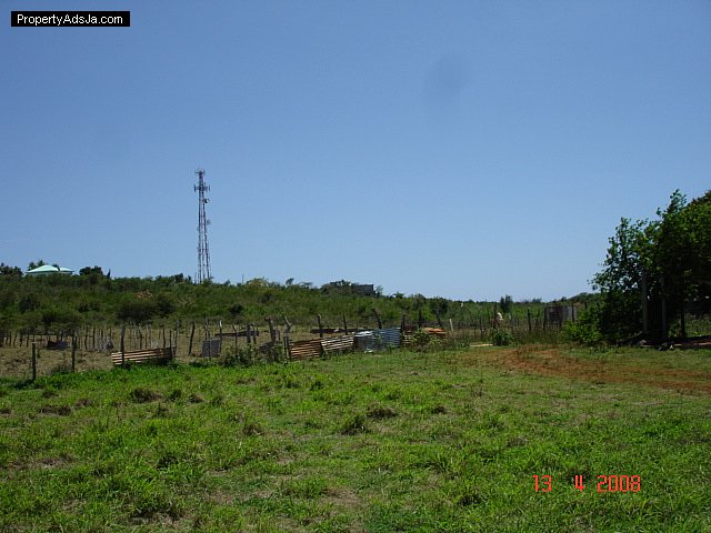 Commercial/farm land For Sale in Pedro Plains close to Treasure Beach ...