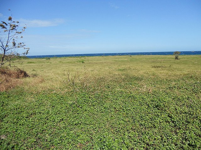 Residential lot For Sale in Hopewell, Hanover Jamaica | PropertyAdsJa.com