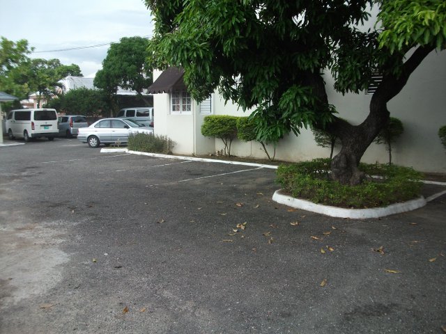 Apartment For Rent in Haining Rd Kgn 5 Apt, Kingston / St. Andrew ...