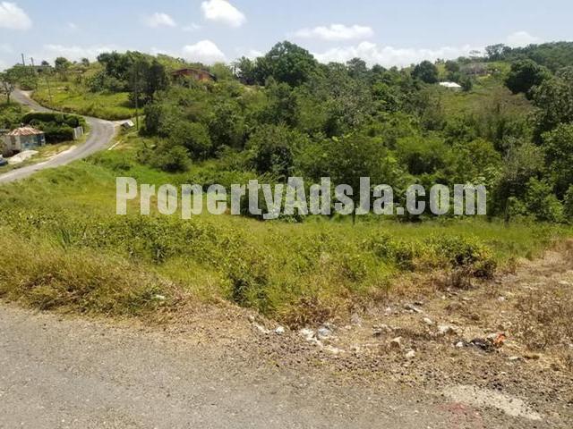Residential lot For Sale in Coleyville, Manchester Jamaica ...