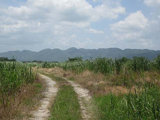 Commercial/farm land For Sale in Braes River, St. Elizabeth Jamaica ...