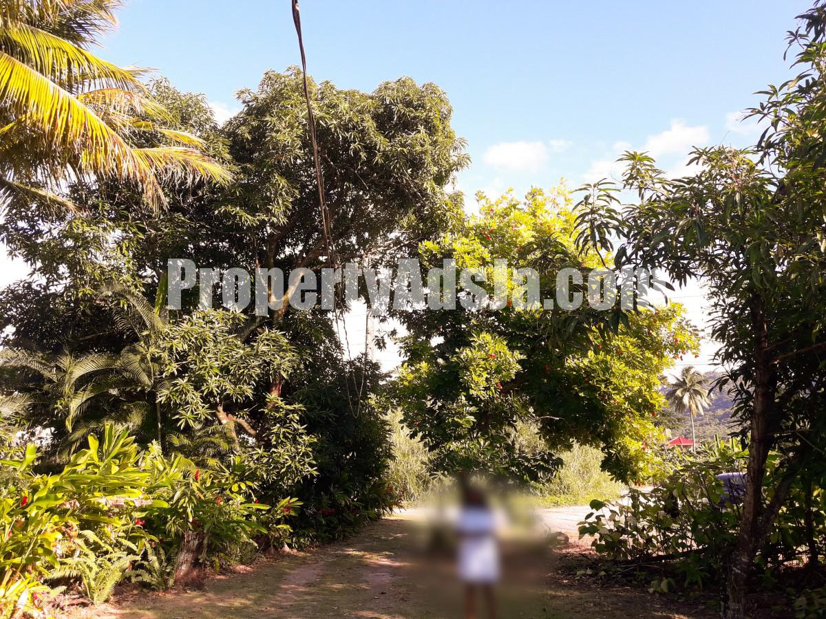 House For Rent in Hope Bay Beach, Portland Jamaica | PropertyAdsJa.com