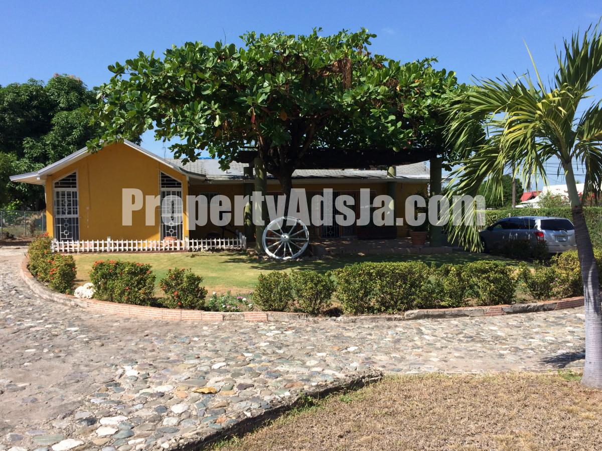 Apartment For Rent in New Kingston, Kingston / St. Andrew Jamaica ...