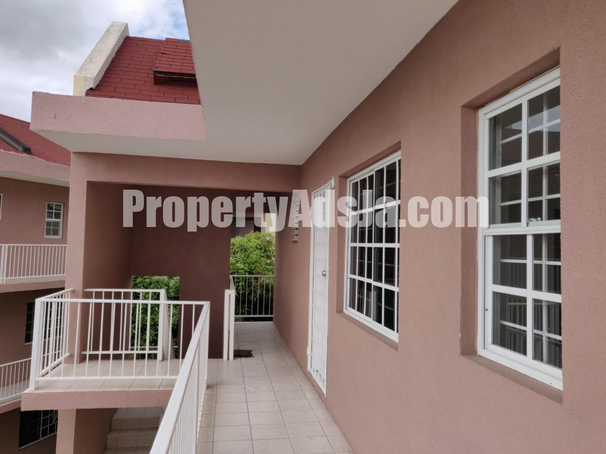Apartments For Rent In Kingston Jamaica