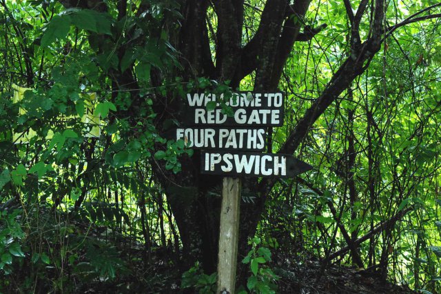 Commercial/farm land For Sale in Ipswich Maggoty, St. Elizabeth Jamaica ...