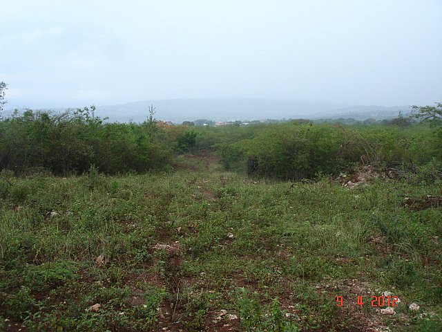 Commercial/farm land For Sale in Pedro Plains close to Treasure Beach ...