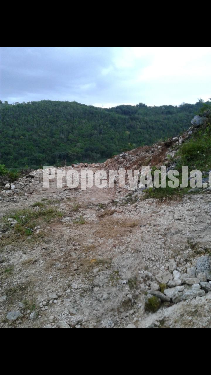 Residential lot For Sale in Halifax, Manchester Jamaica | PropertyAdsJa.com