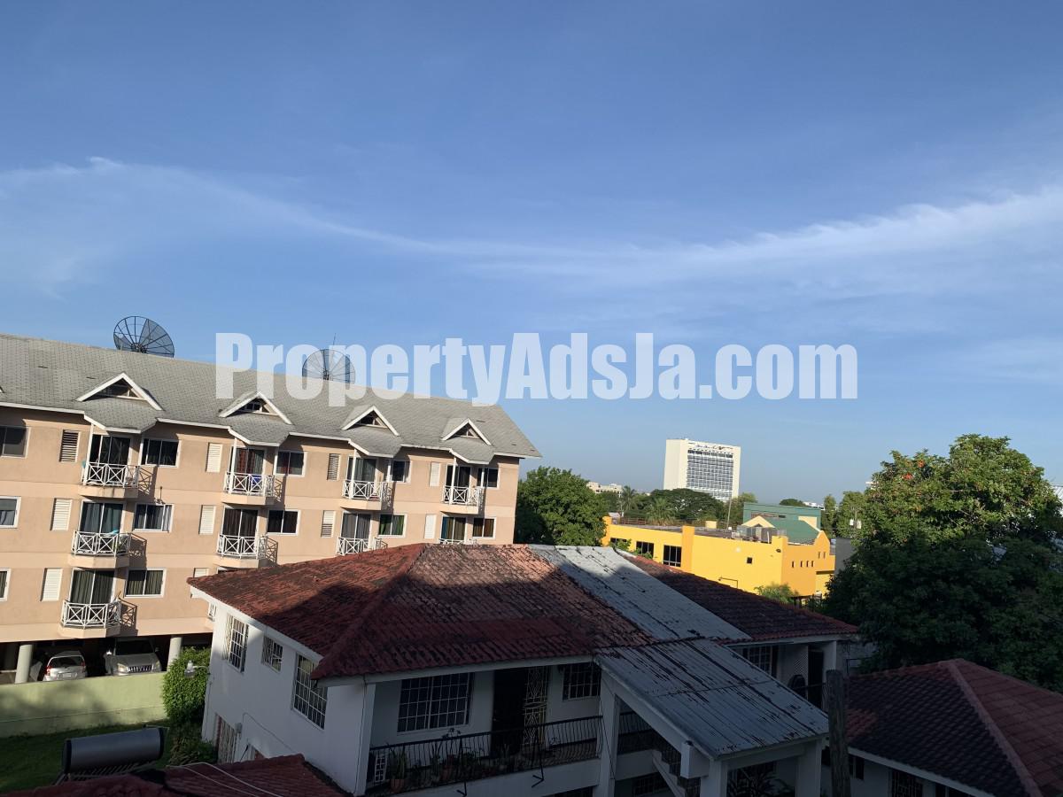 Apartment For Rent in New Kingston, Kingston / St. Andrew Jamaica ...