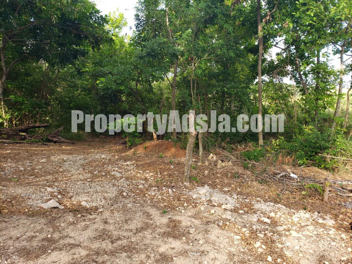 Residential lot For Sale in Simon, St. Catherine Jamaica ...