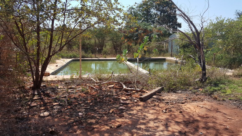 Commercial/farm land For Sale in Pedro Plains, St. Elizabeth Jamaica ...