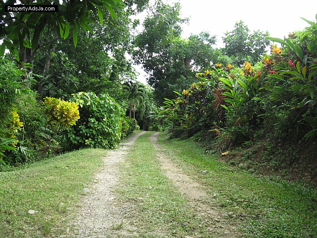 Resort/vacation property For Sale in Snow Hill, Portland Jamaica ...