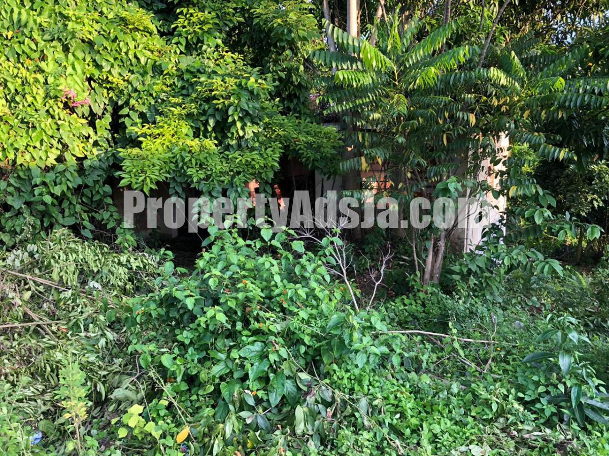 Residential lot For Sale in Salt Spring, St. James Jamaica ...