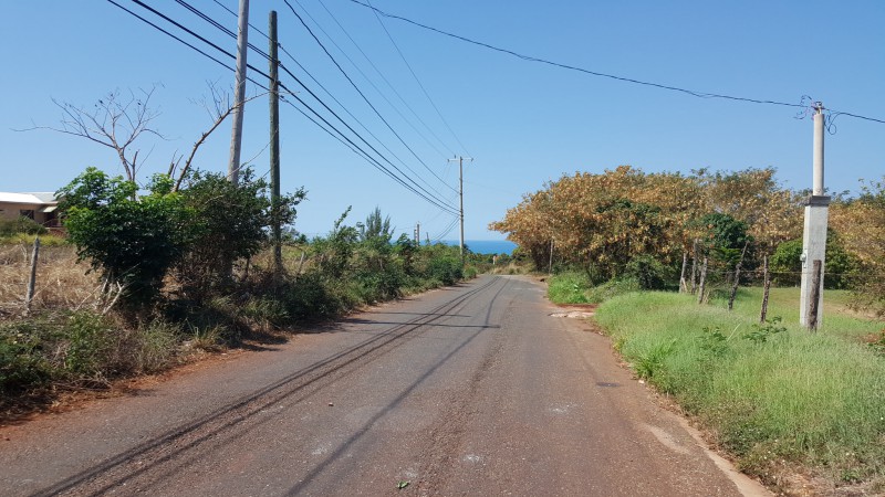 Commercial/farm land For Sale in Pedro Plains, St. Elizabeth Jamaica ...