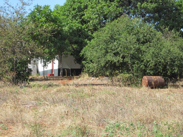 House For Rent in Junction, St. Elizabeth Jamaica | PropertyAdsJa.com