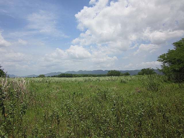 Commercial/farm land For Sale in Braes River, St. Elizabeth Jamaica ...