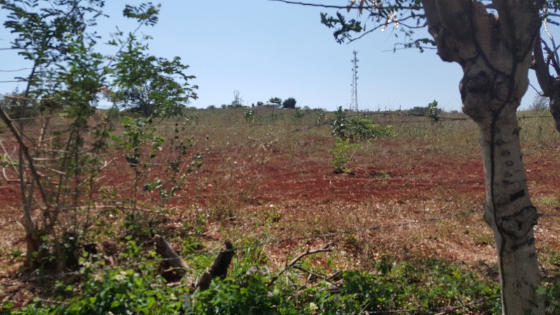 Commercial/farm land For Sale in Pedro Plains, St. Elizabeth Jamaica ...