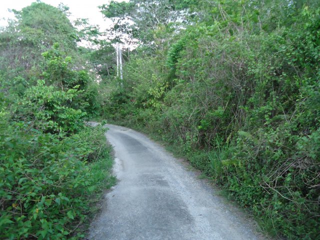Residential lot For Sale in copse, Hanover Jamaica | PropertyAdsJa.com