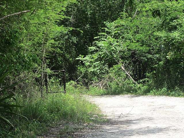 Commercial/farm land For Sale in Braes River, St. Elizabeth Jamaica ...