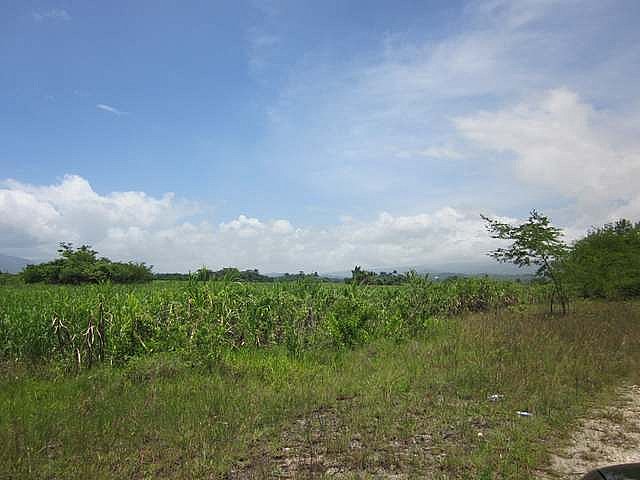 Commercial/farm land For Sale in Braes River, St. Elizabeth Jamaica ...