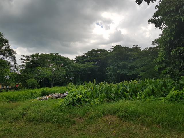 For Sale in Frome, Westmoreland Jamaica | PropertyAdsJa.com