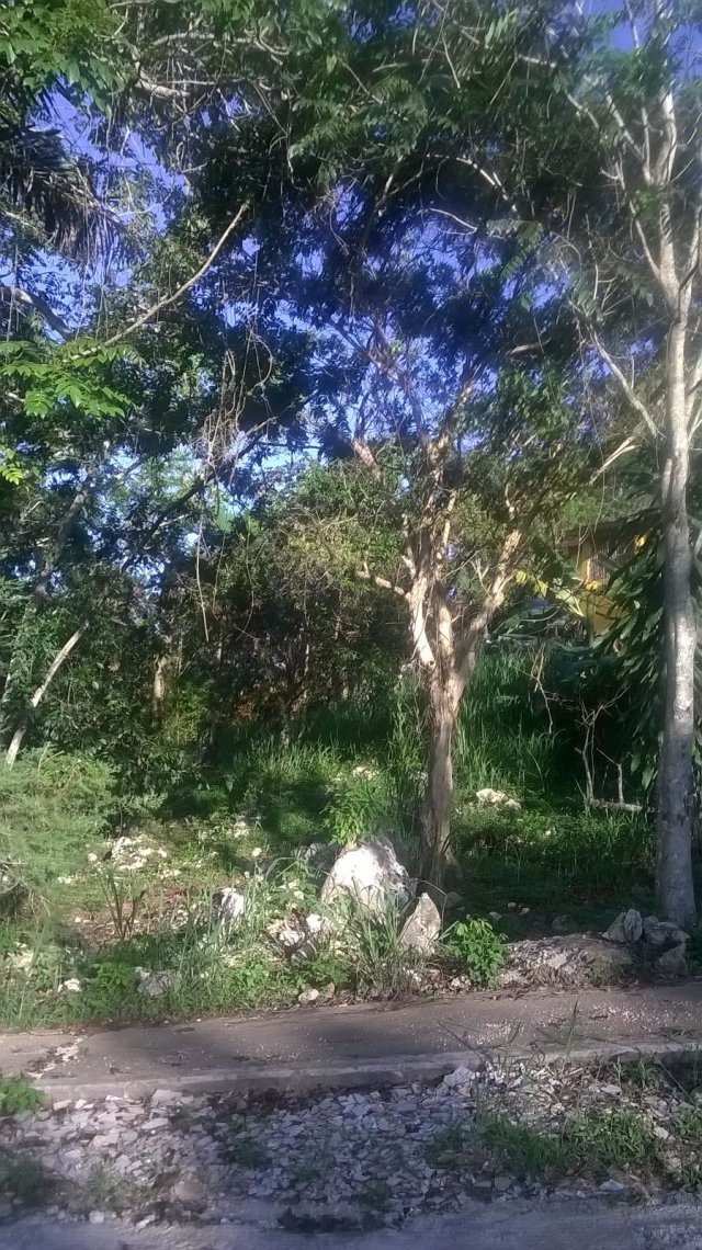 Residential lot For Sale in Swain Spring Rise, Kingston / St. Andrew ...