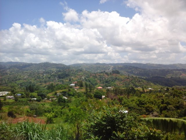 Residential lot For Sale in Mandeville Christiana Coleyville Chudleigh ...