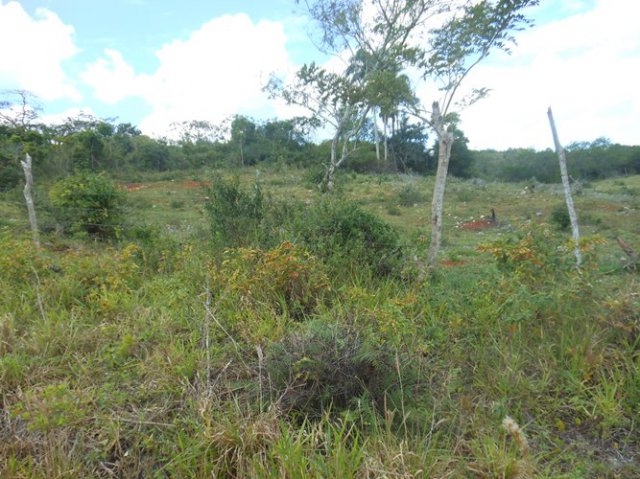 Residential lot For Sale in One Third Acre Lot Near May Day, Manchester ...