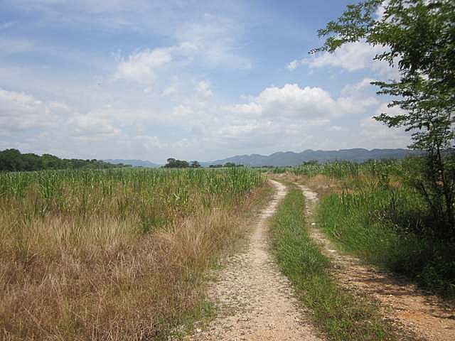 Commercial/farm land For Sale in Braes River, St. Elizabeth Jamaica ...