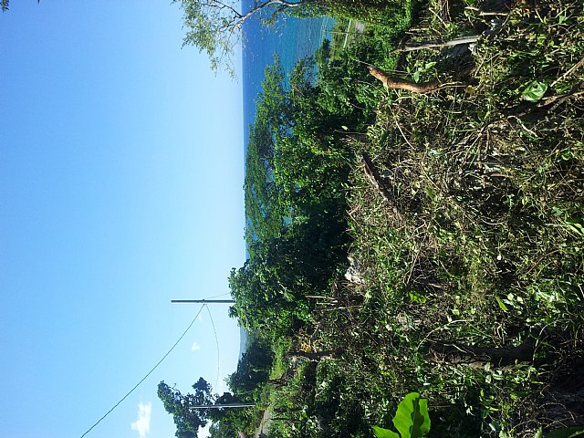 Residential lot For Sale in Hopewell Hanover, Hanover Jamaica ...