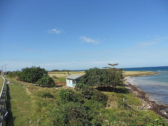 Residential lot For Sale in Hopewell, Hanover Jamaica | PropertyAdsJa.com
