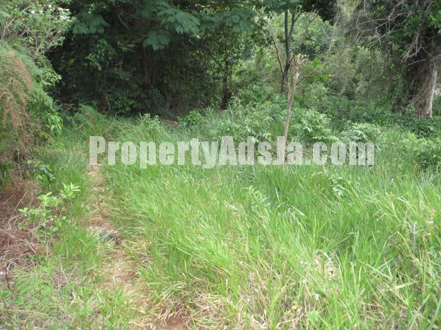 Residential lot For Sale in Browns Town, St. Ann Jamaica | PropertyAdsJa.com