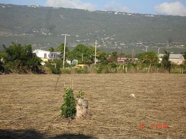 Residential lot For Sale in Pedro Plains, St. Elizabeth Jamaica ...