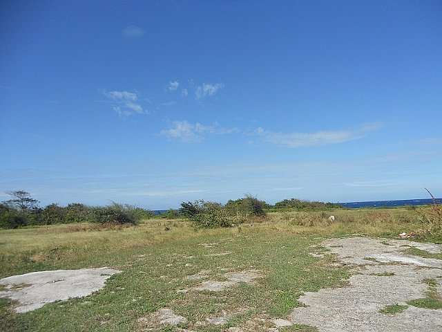 Residential lot For Sale in Hopewell, Hanover Jamaica | PropertyAdsJa.com