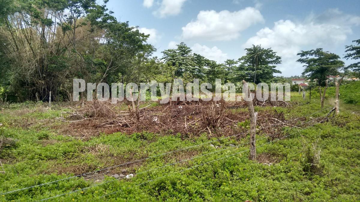 Residential lot For Sale in Hope Bay, Portland Jamaica | PropertyAdsJa.com