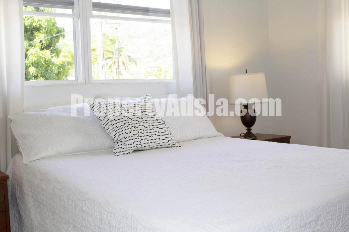 Apartment For Rent in The Valhalla Graham Heights, Kingston / St ...