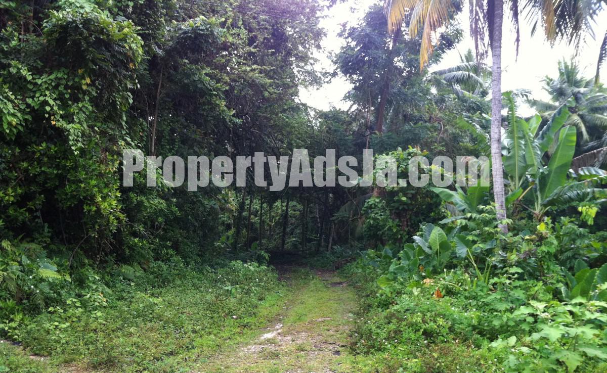 Residential lot For Sale in Hope Bay, Portland Jamaica | PropertyAdsJa.com