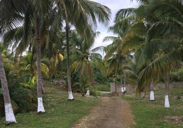 Commercial/farm land For Sale in Rio Magno, St. Catherine Jamaica ...