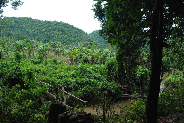 Commercial/farm land For Sale in Ipswich Maggoty, St. Elizabeth Jamaica ...